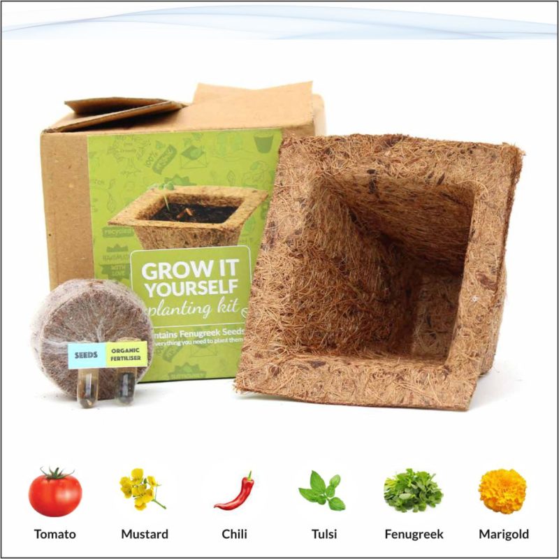Diy Self Grow Kit